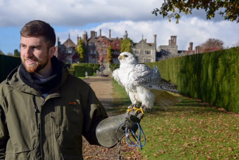 A Brief History of Falconry | The Hawking Centre