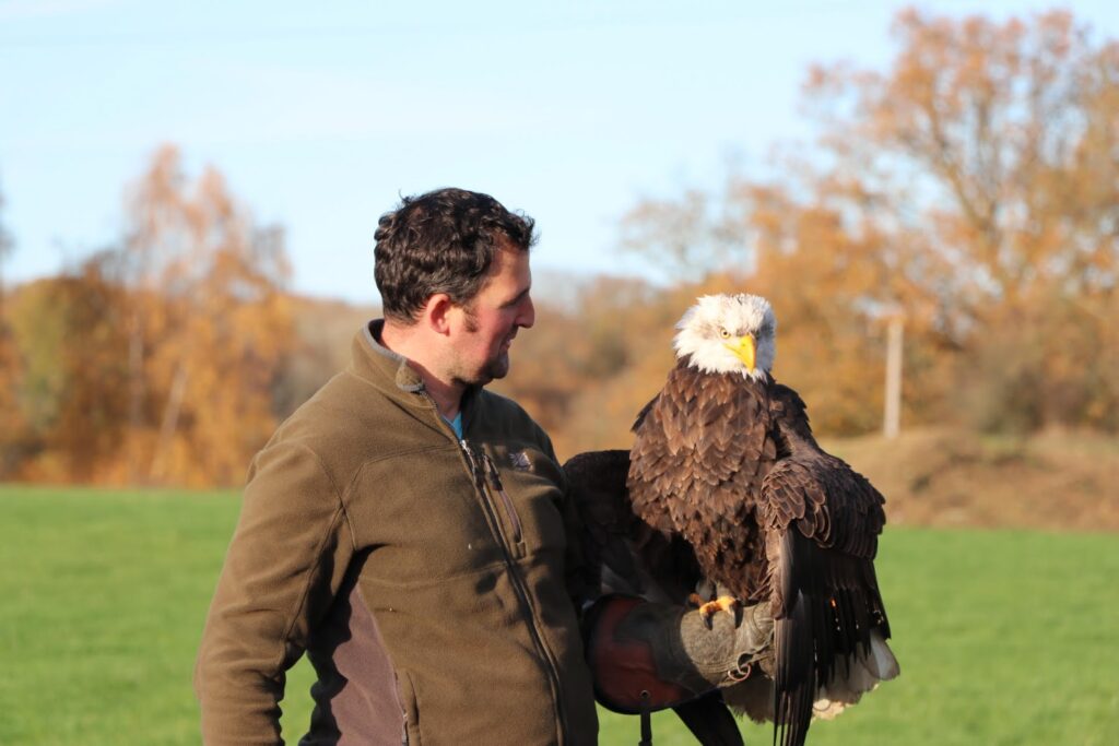 Full-Day Falconry Experience | The Hawking Centre