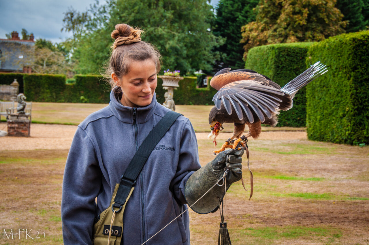 About Us | The Hawking Centre